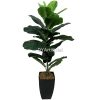 70cm Height Fiddle Leaf Figs Tree Indoor - DYArtificial®