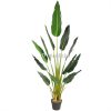 Artificial Canna Tree 170CM Indoor - DYArtificial