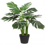 Artificial Split Philo Tree 75CM Indoor - DYArtificial