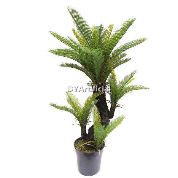 Cycas - DYArtificial