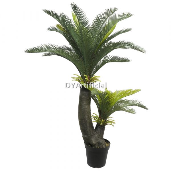 Cycas - DYArtificial
