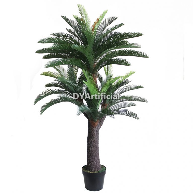 Cycas - DYArtificial