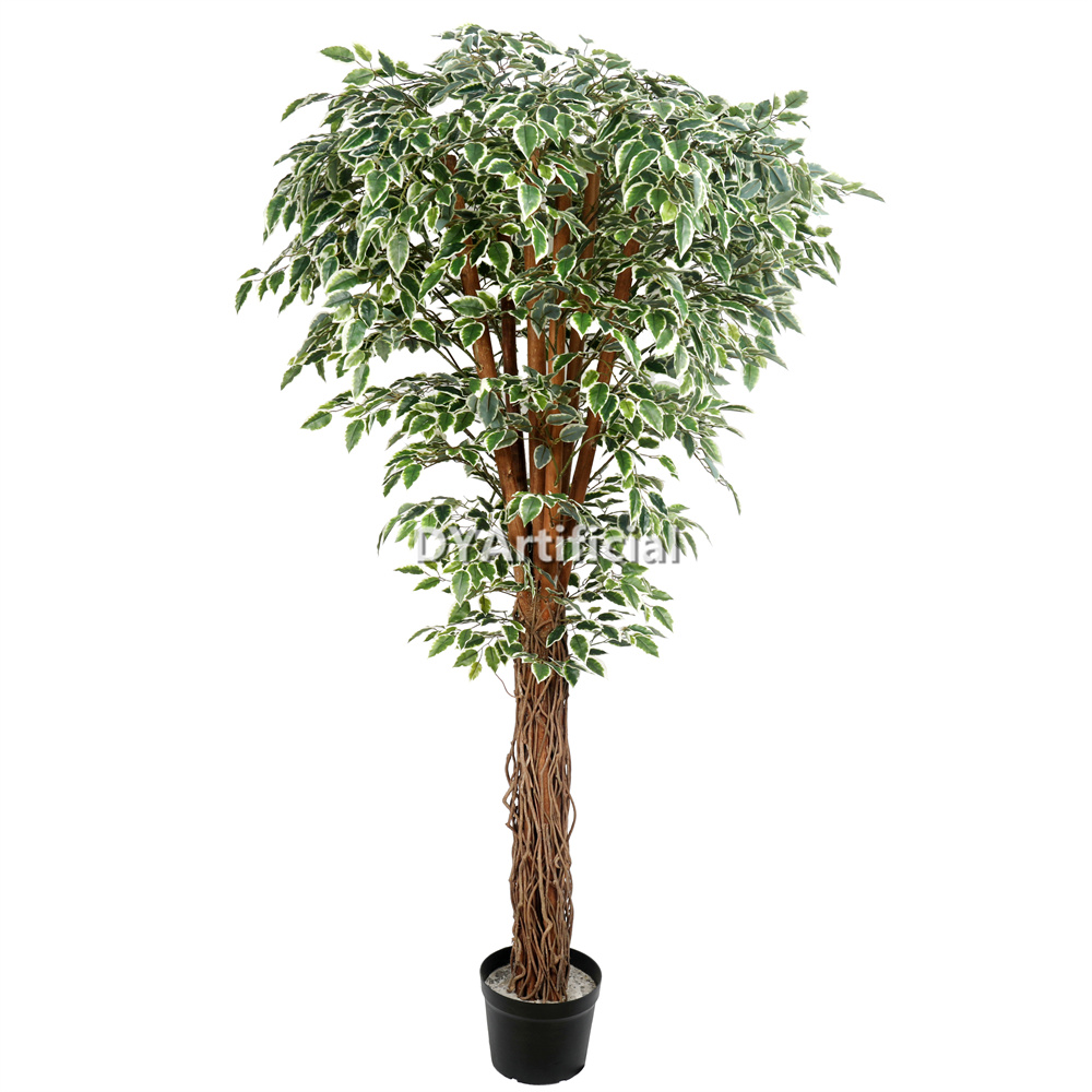 180CM Height Ficus Tree White Green Indoor - DYArtificial