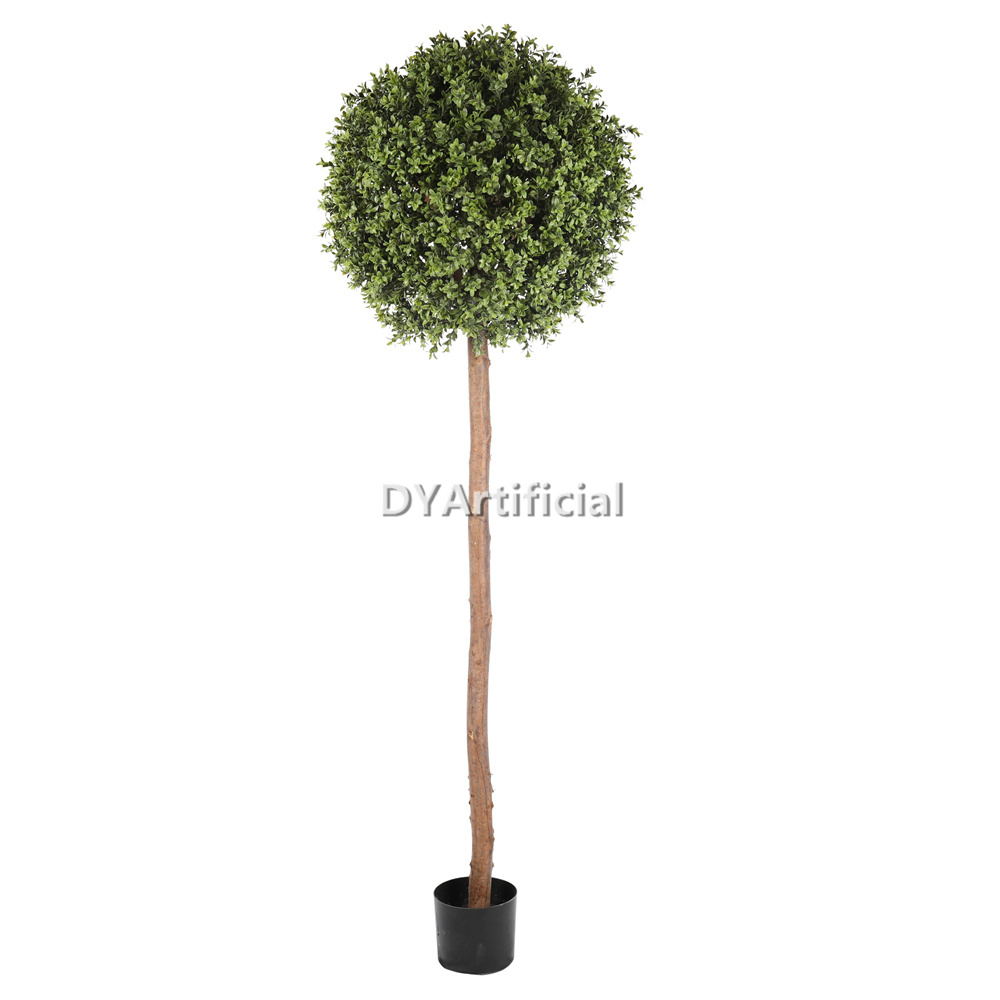 Φ 60CM 180CM Buxus Ball Tree with Long Trunk Outdoor UV Protected ...