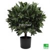 Artificial Double Ball Bay Tree 130CM Indoor - DYArtificial