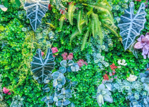 Discover the Best Fake Plants That Realistic Looking | DYArtificlal