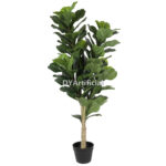 60cm Height Fiddle Leaf Figs Tree Indoor - DYArtificial