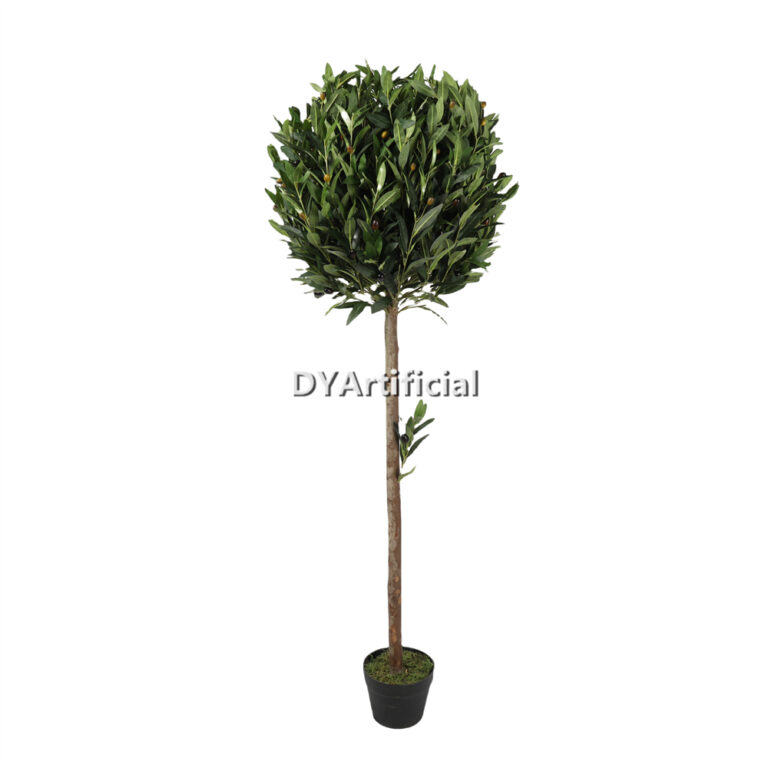 Olive Tree - DYArtificial